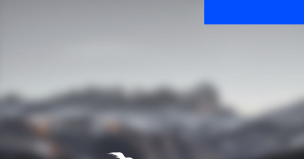 CHRIS ZIPPEL & TIM ANGRAVE Reworked