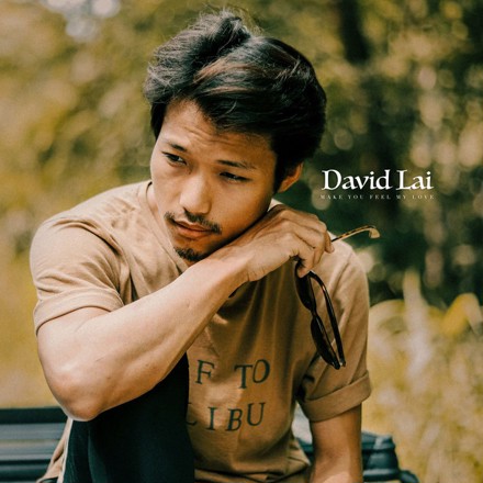 David Lai - Make You Feel My Love