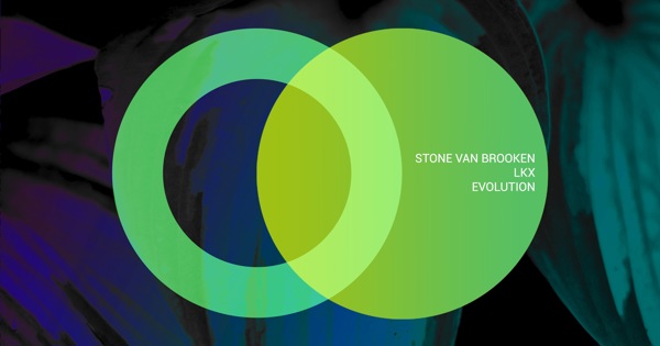 Stone Van Brooken & LKX