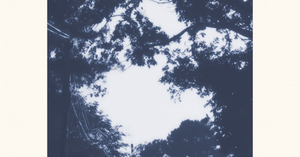 Roger Eno & Cecily Eno - Strangely, I dreamt