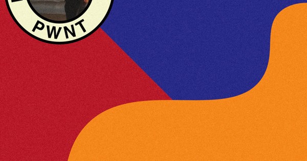 PWNT - Days in the Summer