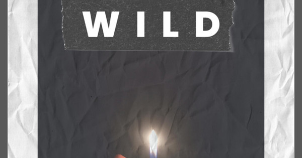 Fer Osorio - Wild
