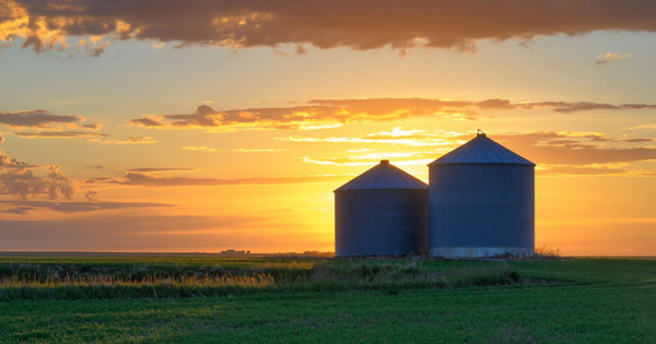 Laura Hawley, Luminous Voices, Sara Staples, Timothy Shantz - Rise Up ...