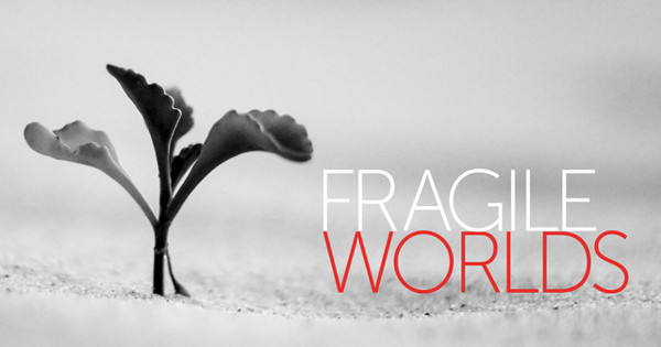 Fragile Worlds