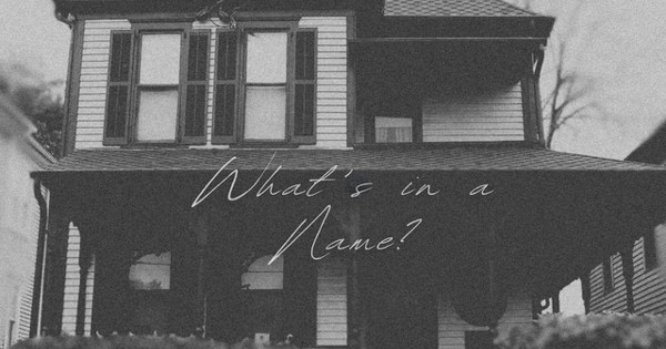 Hodgie - What's In A Name