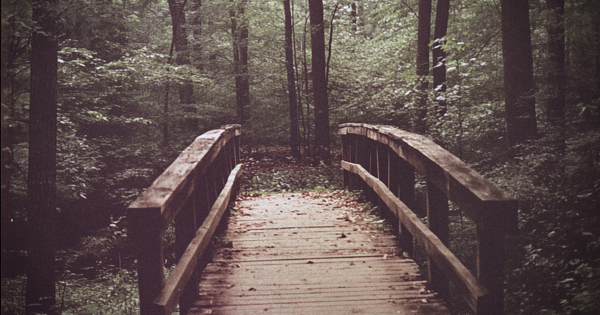 Tim Raybon Band - "Walk Softly on the Bridges"