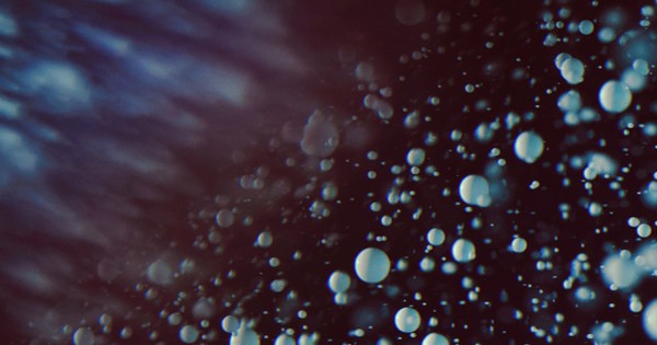 The Particle Board - Sink or Swim