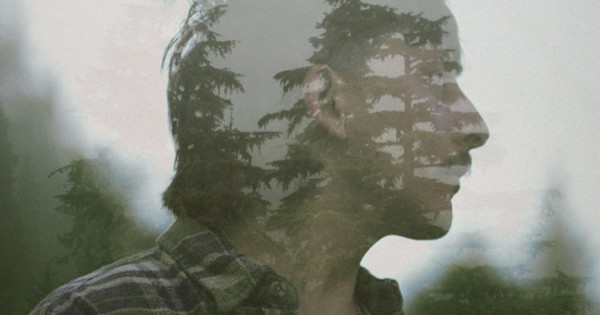 gavn! - Into The Woods