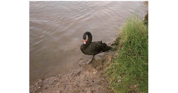 Sam Fender - Alright