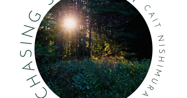 Cait Nishimura, Brian Barber - Chasing Sunlight - Single