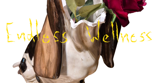 Endless Wellness