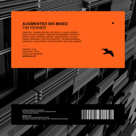 AUGMENTED 005 / Tim Penner (MIXED)