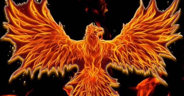 Vinny Venom - The Phoenix