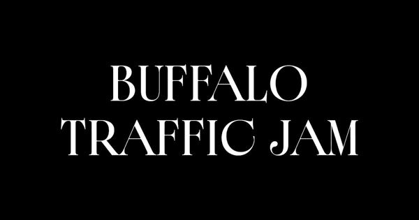 Buffalo Traffic Jam Store