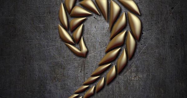 Neef Buck - Forever Do Me 9