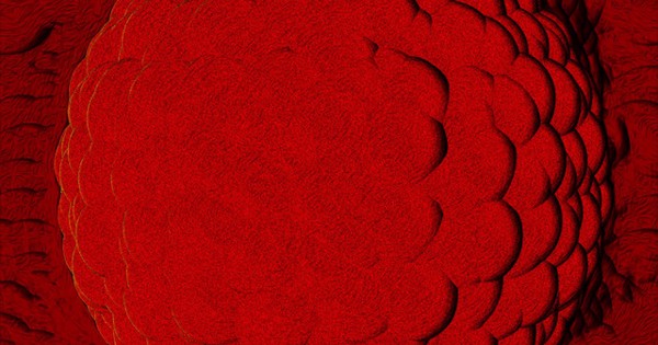 Gary Stallman - Son Of The Internet