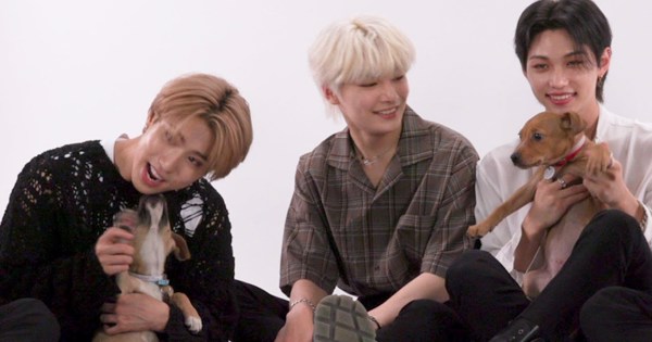 Stray Kids Play With Puppies While Answering Questions